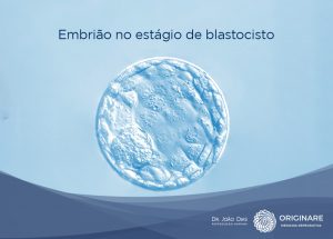 Desenvolvimento embrionário na FIV: como é feito? » Dr João Dias
